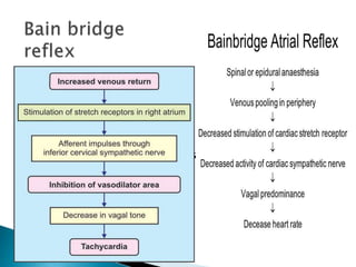 PHYSIOLOGY OF SPINAL ANAESTHESIA.pptx