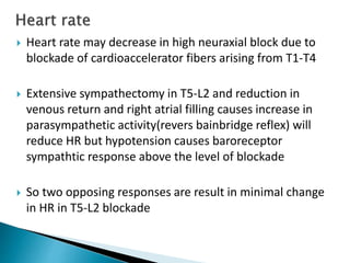 PHYSIOLOGY OF SPINAL ANAESTHESIA.pptx | Brain and Nervous System ...