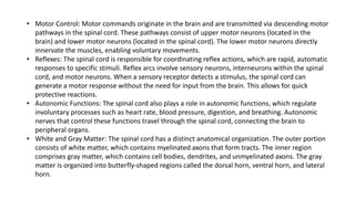 physiology of spinal cord.pptx