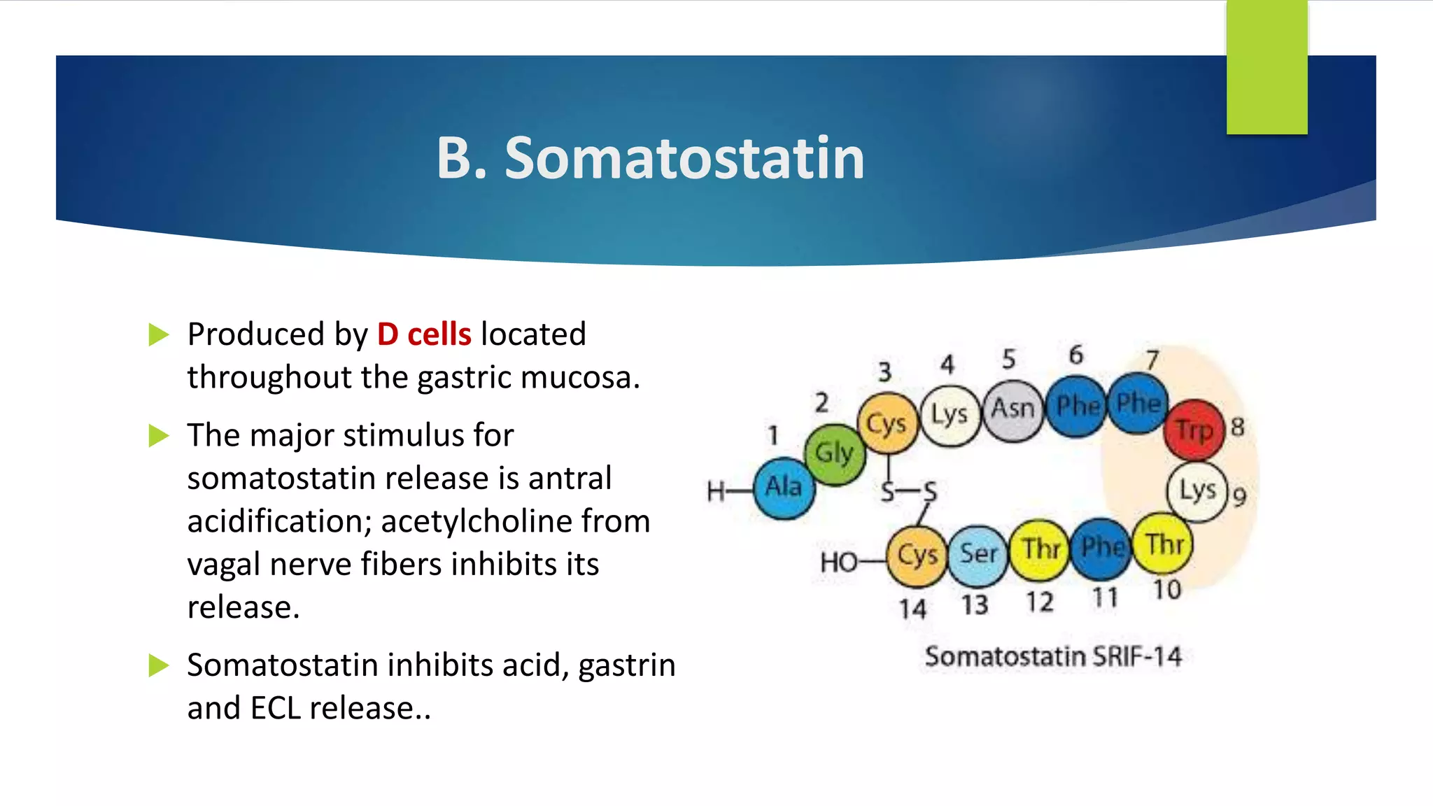 Physiology of stomach | PPTX