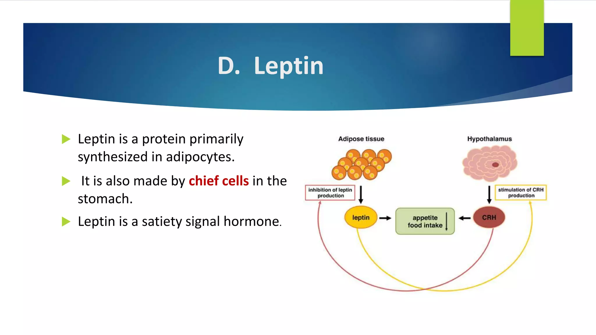 Physiology of stomach | PPTX