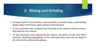 Physiology of stomach | PPTX