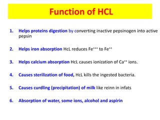 Physiology of stomach (Prof. Mohamed Bendary).pptx
