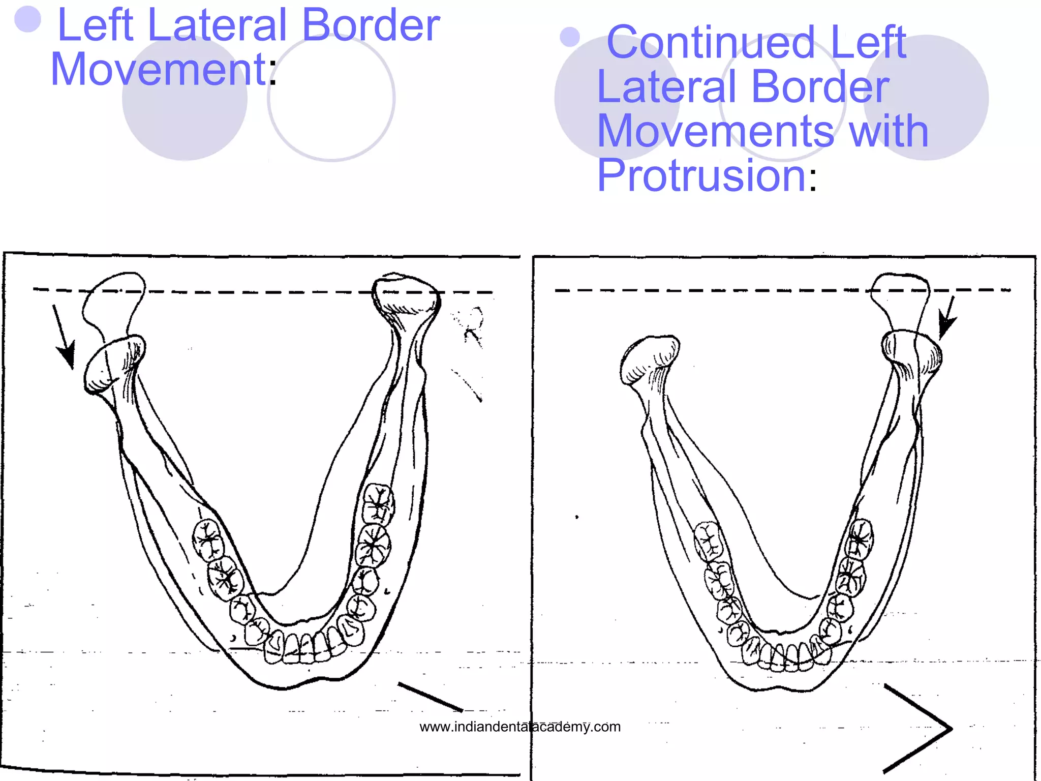 Physiology of stomatognathic system ppt | PPT