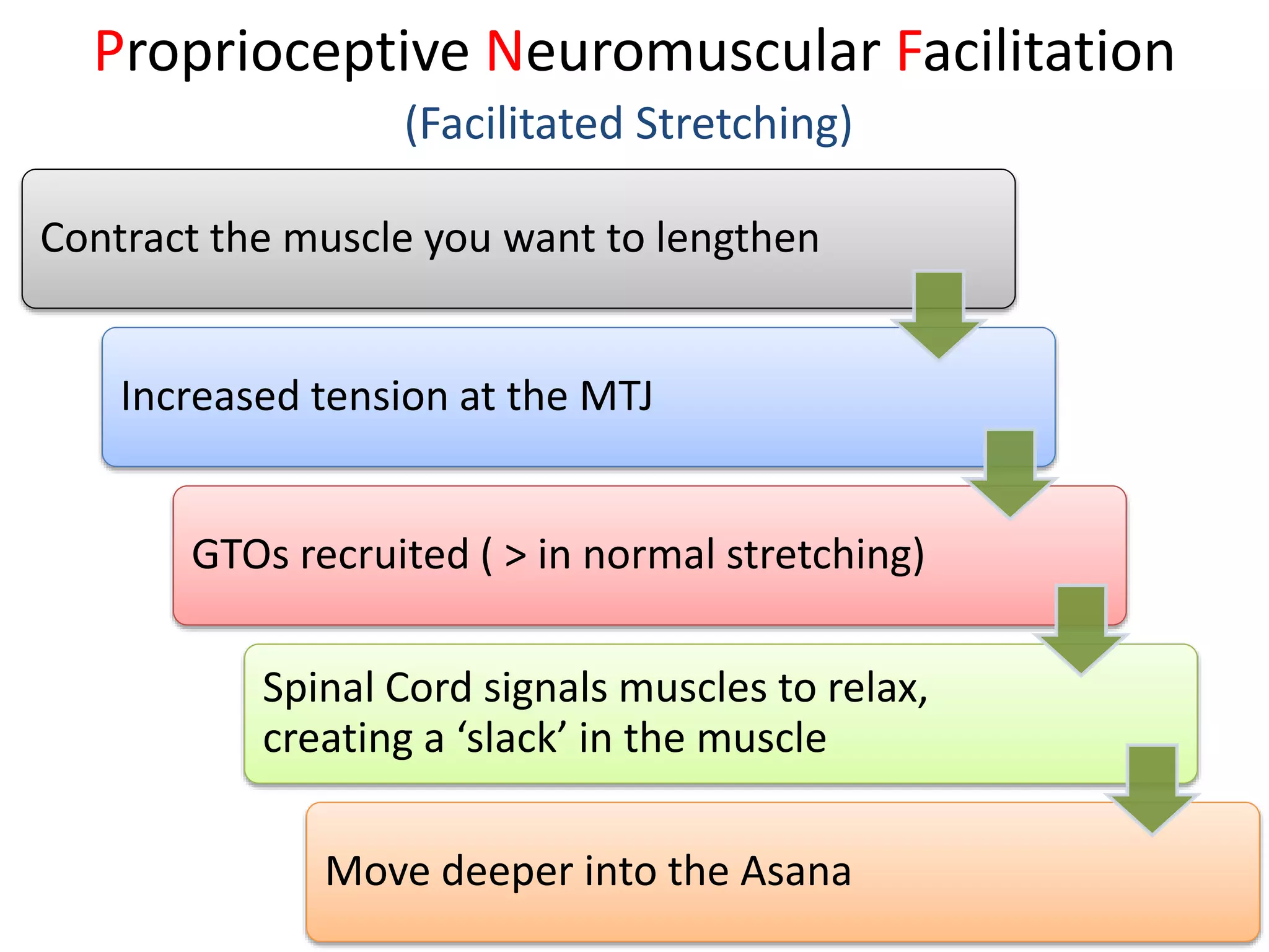 Physiology of stretching | PPTX