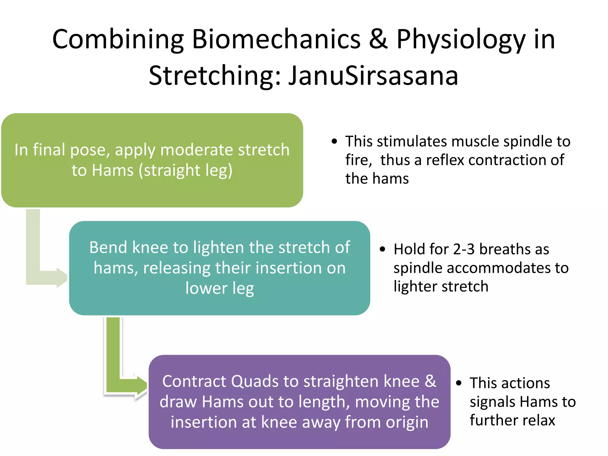 Physiology of stretching | PPTX