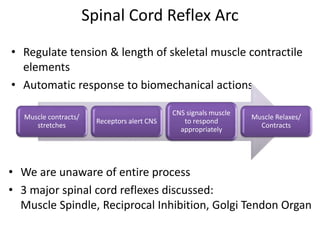 Physiology of stretching | PPTX