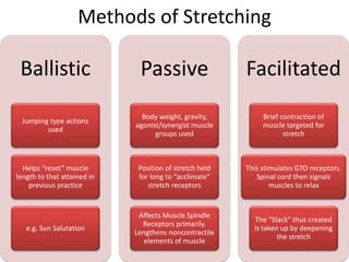 Physiology of stretching | PPTX