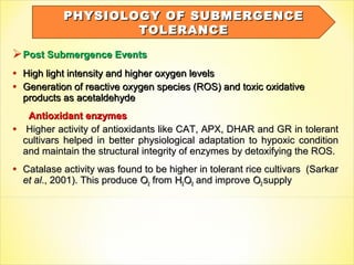 Physiology of submergence tolerance and prospects for breeding | PPT