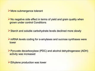 Physiology of submergence tolerance and prospects for breeding | PPT