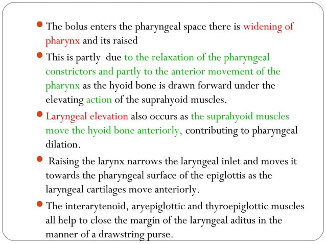 Physiology of swallowing