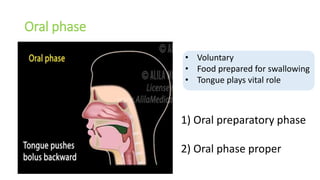 Physiology of swallowing | PPTX