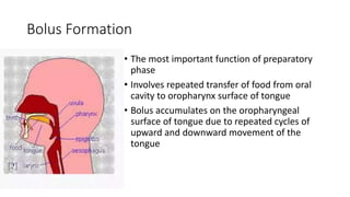 Physiology of swallowing | PPTX