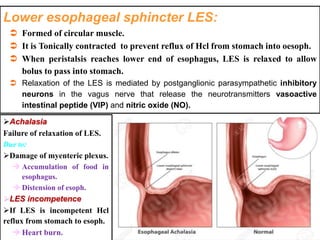 physiology of swallowing.ppt