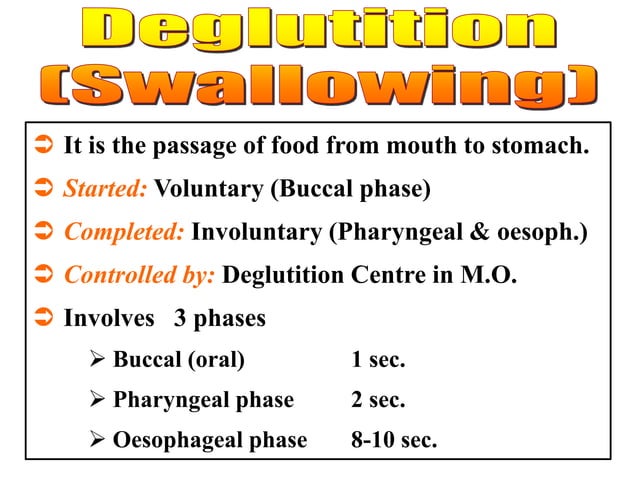physiology of swallowing.ppt | Ear, Nose and Throat Conditions ...