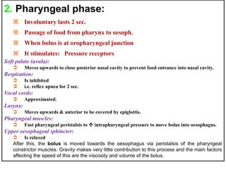 physiology of swallowing.ppt