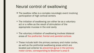 physiology of swallowing PRESENTATION BY ENT TEAM | PPTX