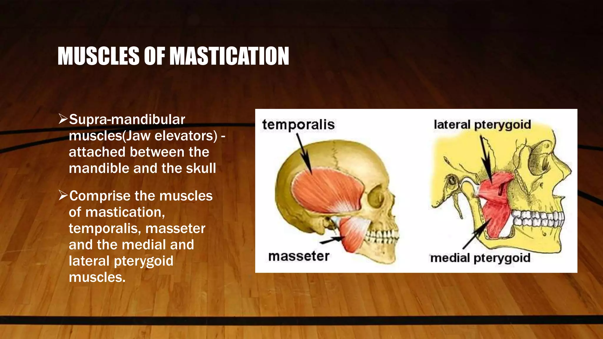 Physiology of swallowing ppt | PPTX
