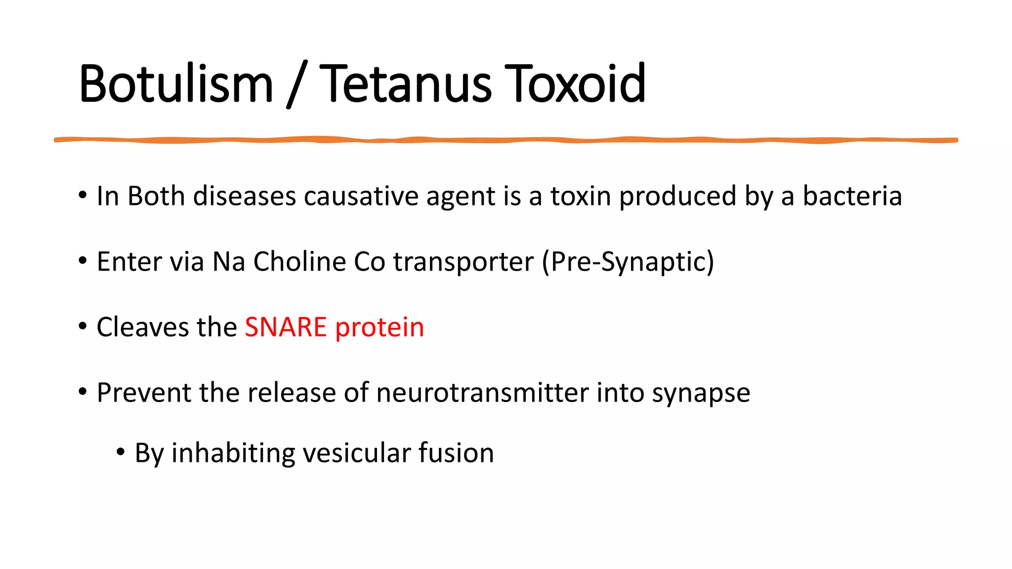 Physiology of Synapse and Applied | PPTX