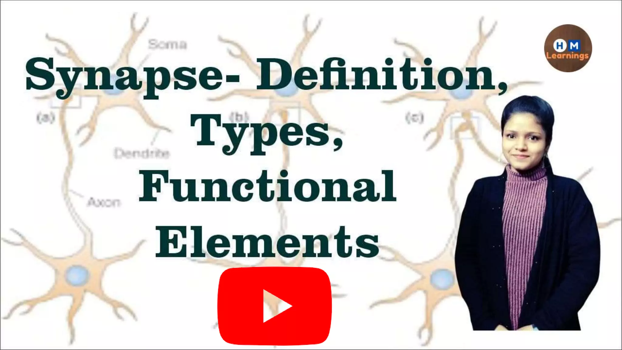 Physiology of Synapse II Synapse types II Functional Elements of ...
