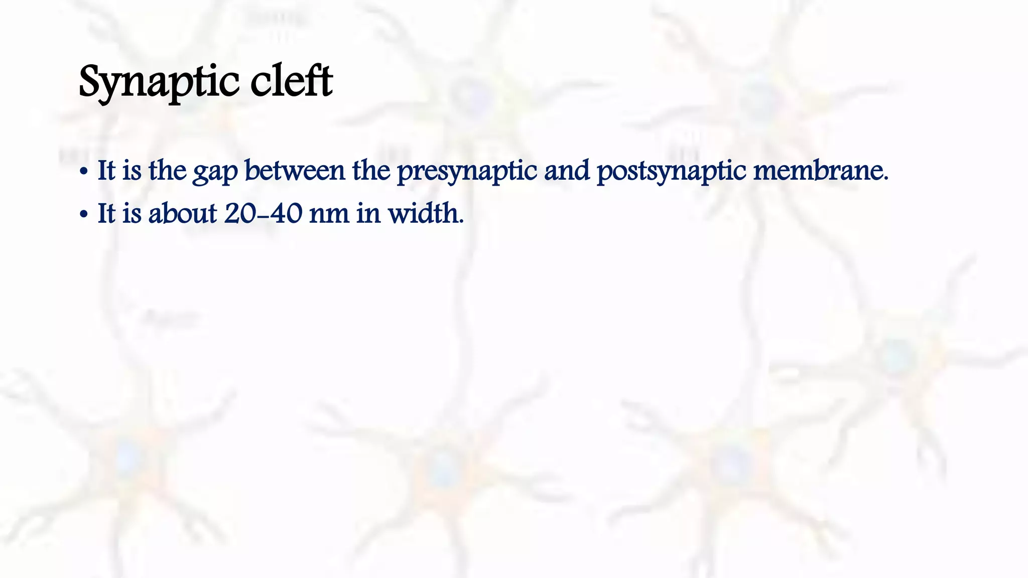 Physiology of Synapse II Synapse types II Functional Elements of ...