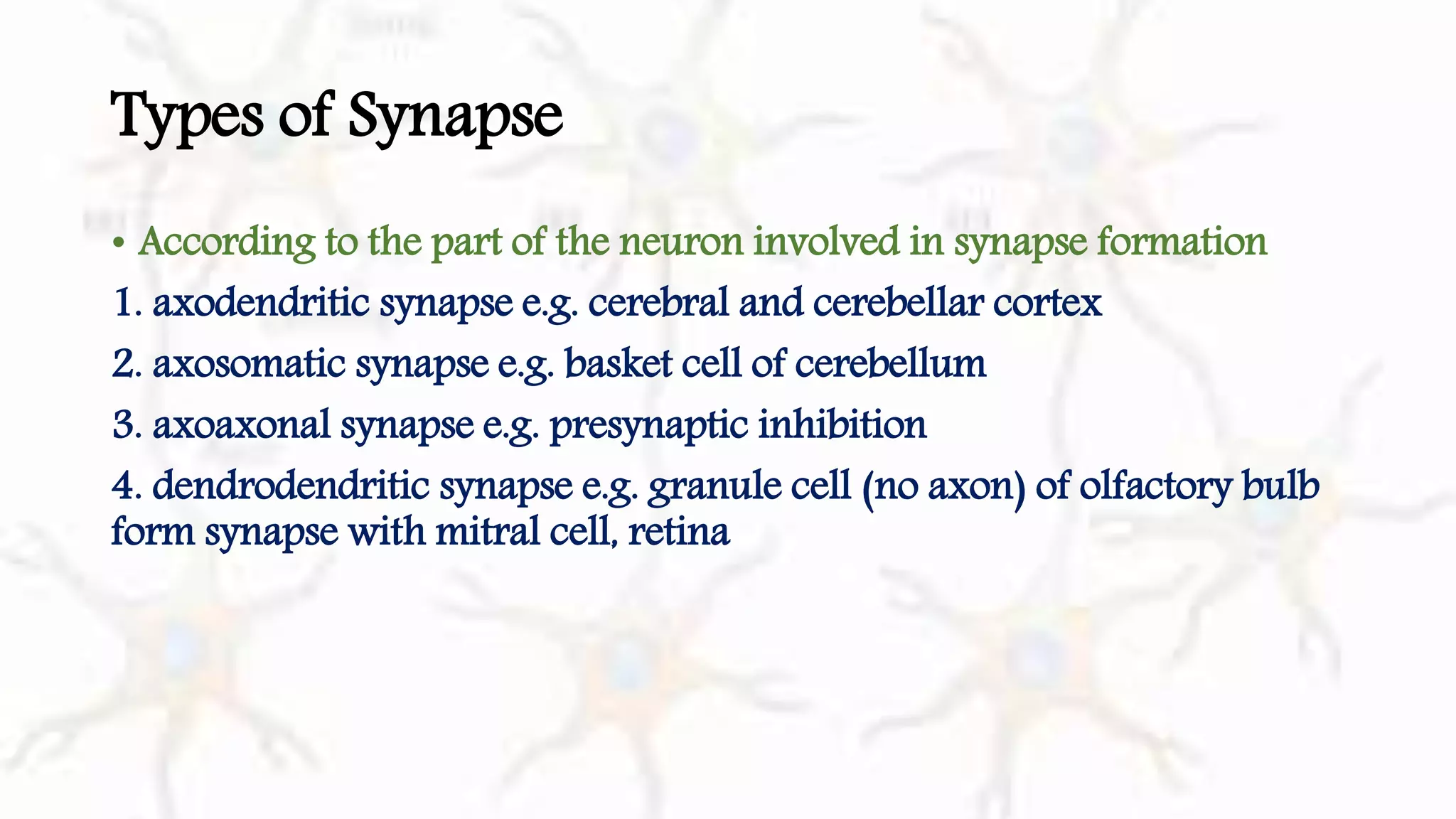 Physiology of Synapse II Synapse types II Functional Elements of ...