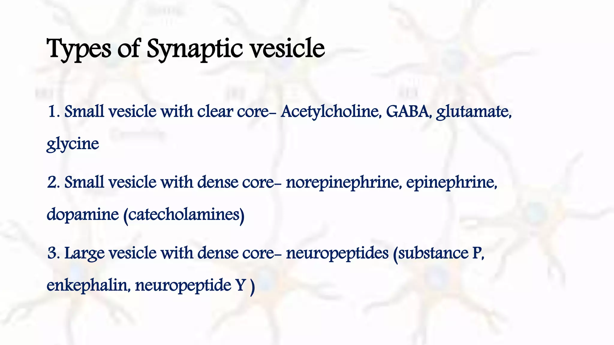 Physiology of Synapse II Synapse types II Functional Elements of ...