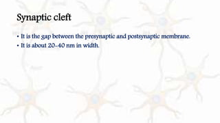 Physiology of Synapse II Synapse types II Functional Elements of ...