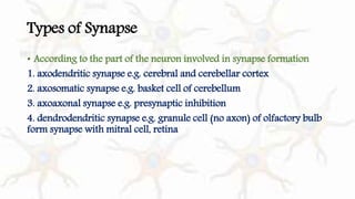 Physiology of Synapse II Synapse types II Functional Elements of ...