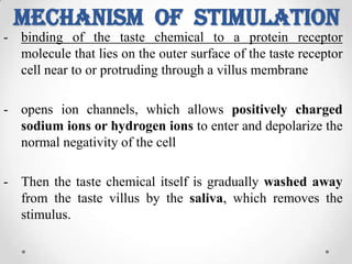 Physiology of taste | PPTX