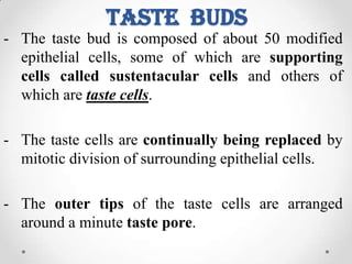 Physiology of taste | PPTX