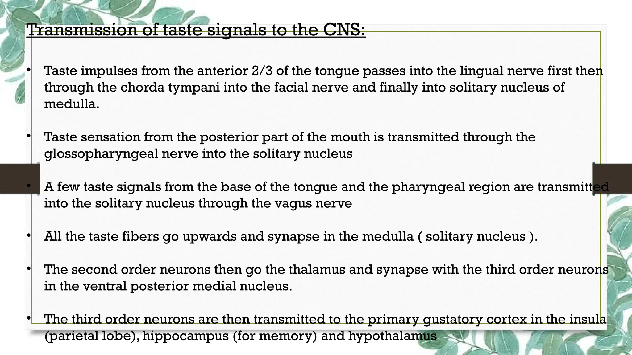 Physiology of Taste well explained .pptx