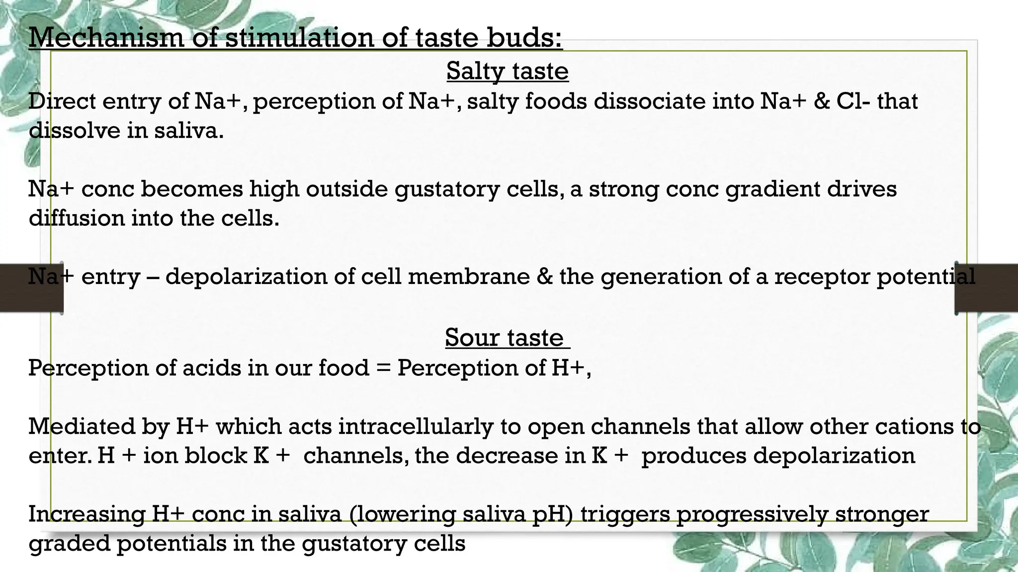 Physiology of Taste well explained .pptx