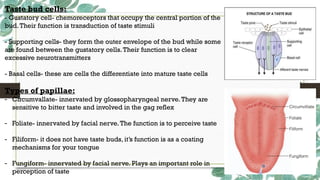 Physiology of Taste well explained .pptx