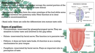 Physiology of Gustation is simplified.pptx