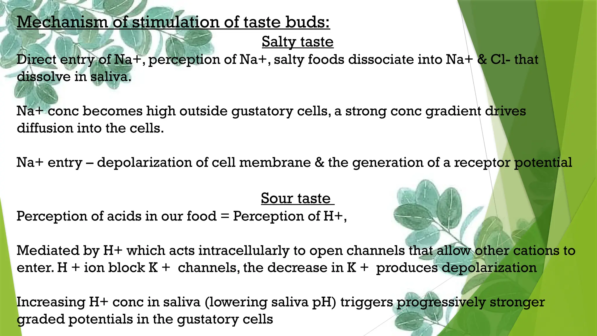 Physiology of Taste. lets learn together | PPTX