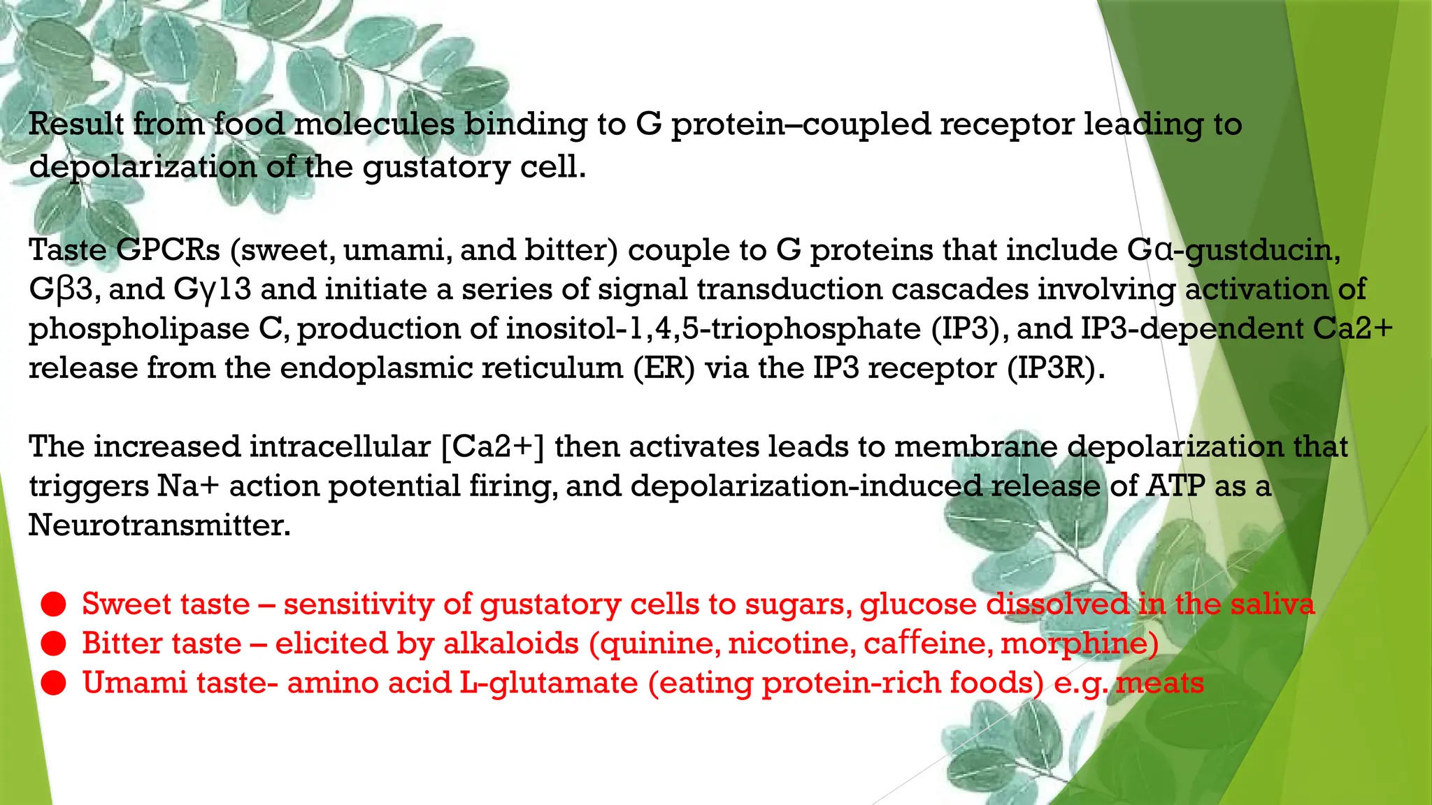 Physiology of Taste. lets learn together | PPTX