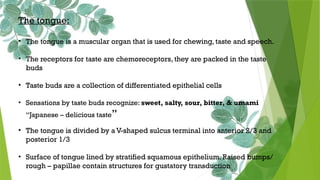 Physiology of Taste. lets learn together | PPTX