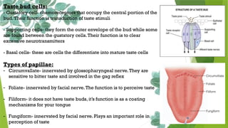 Physiology of Taste. lets learn together | PPTX