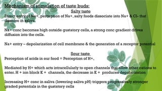 Physiology of Taste. lets learn together | PPTX