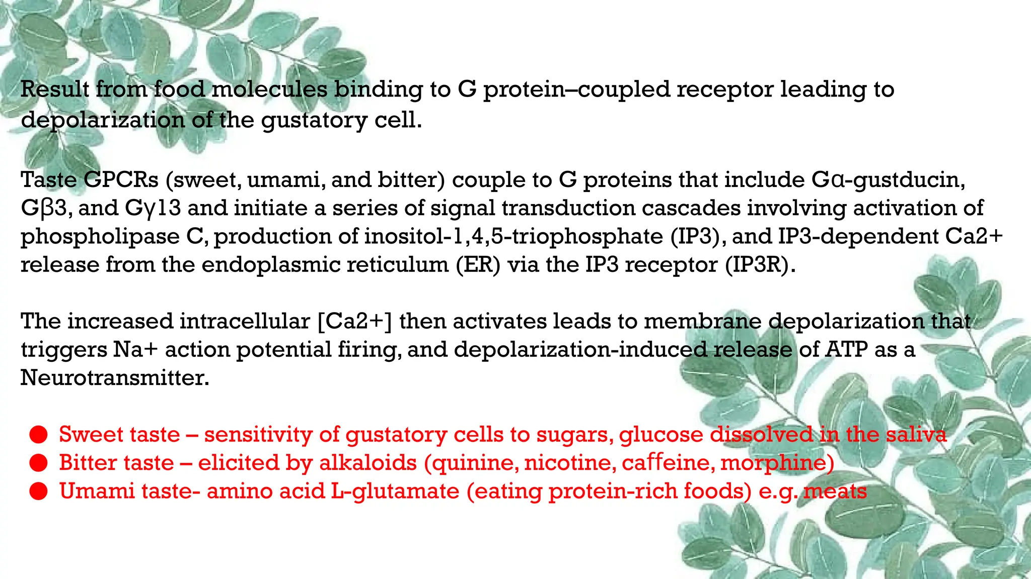 Physiology of Taste for medical students | PPTX