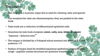 Physiology of Taste for medical students | PPTX