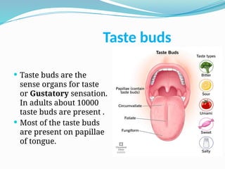 Comprehensive Overview of the Physiology of Taste and Gustatory ...