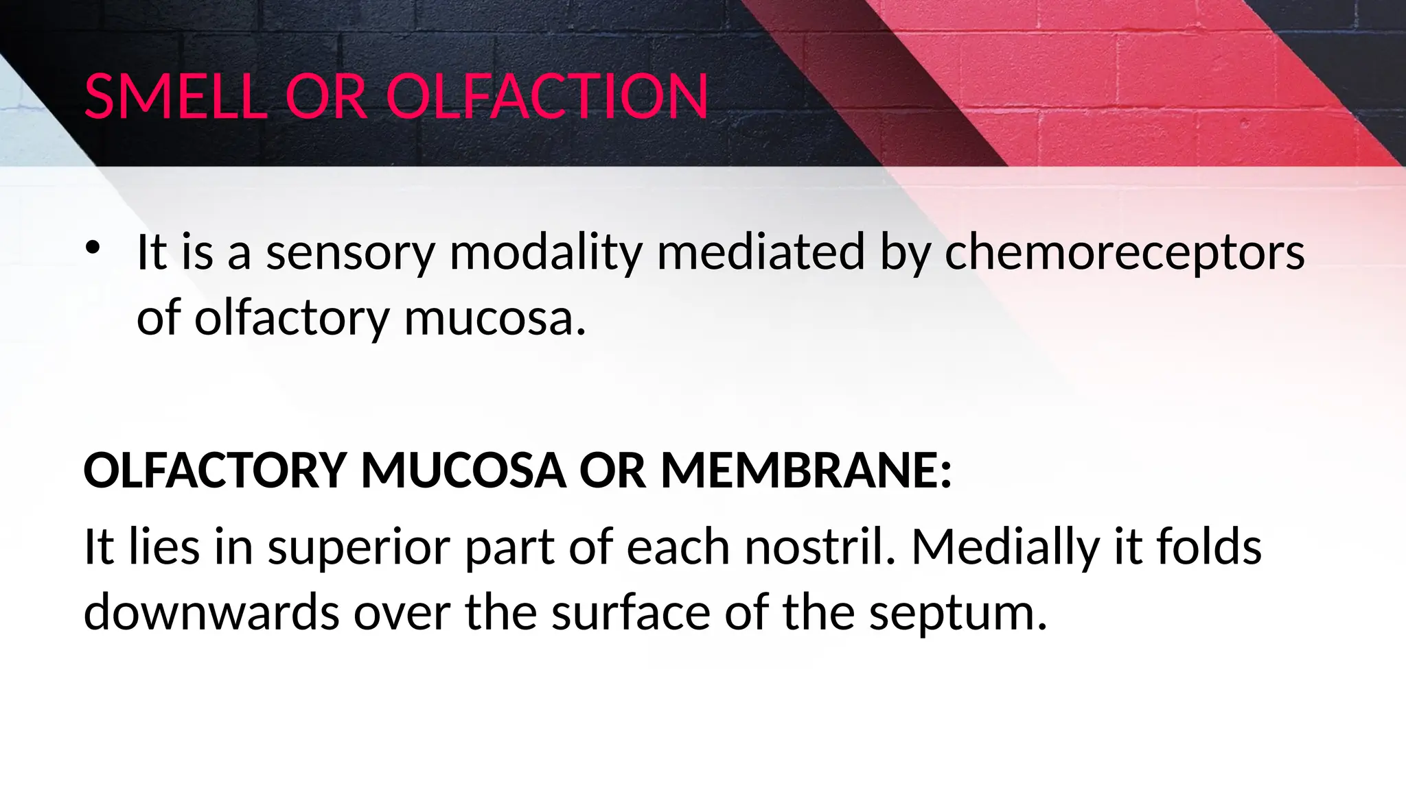 physiology of taste and smell by manahil mushtaq ..pptx