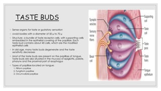 physiology_of_taste_perception_1638353877.pdf