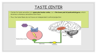physiology_of_taste_perception_1638353877.pdf