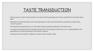 physiology_of_taste_perception_1638353877.pdf