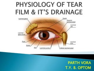 anatomy And Physiology of tear film | PDF