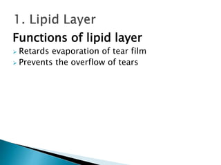anatomy And Physiology of tear film | PDF