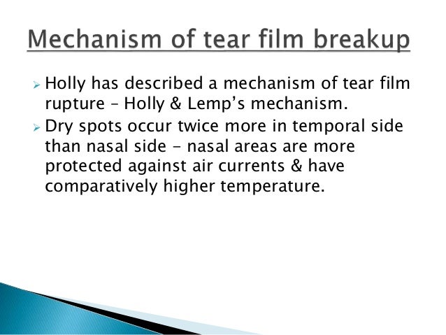 anatomy And Physiology of tear film